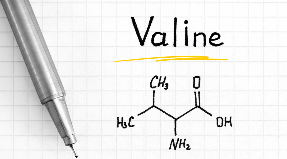 What is Valine? – Fuel-Up Supplements
